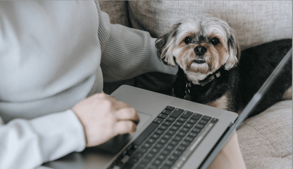 How Telehealth Will Transform the Veterinary Industry Over the Next ...